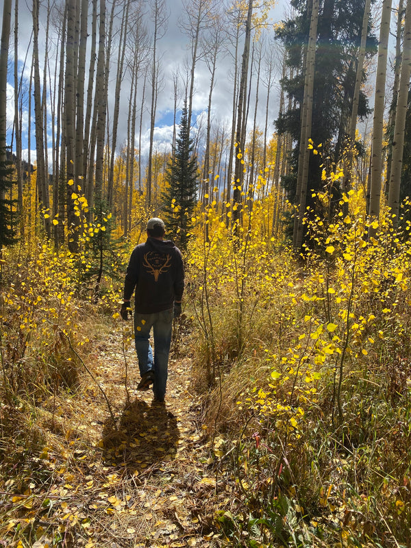How to Tap an Aspen Tree - Chopwood Mercantile